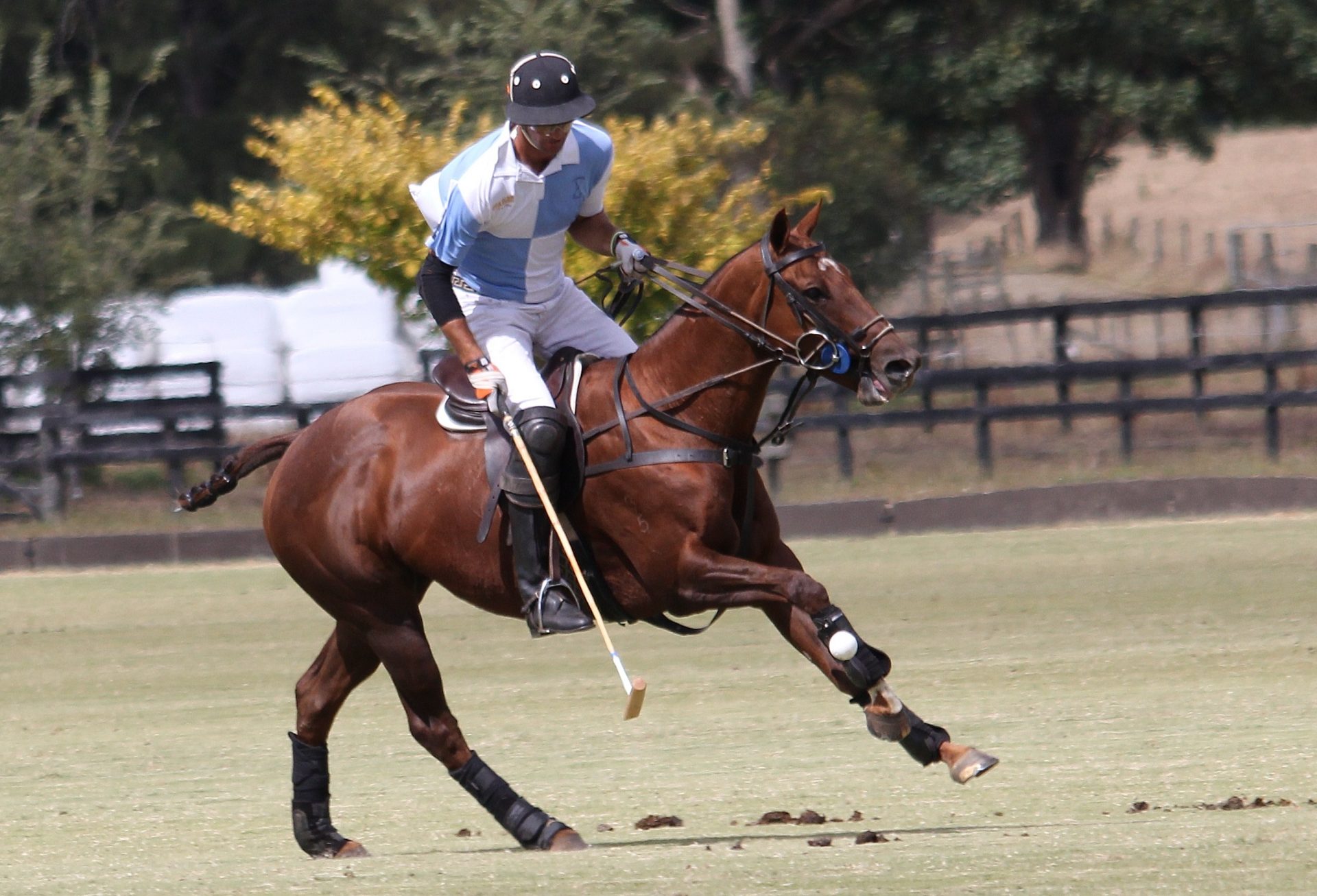 Polo Mallets | Cordall