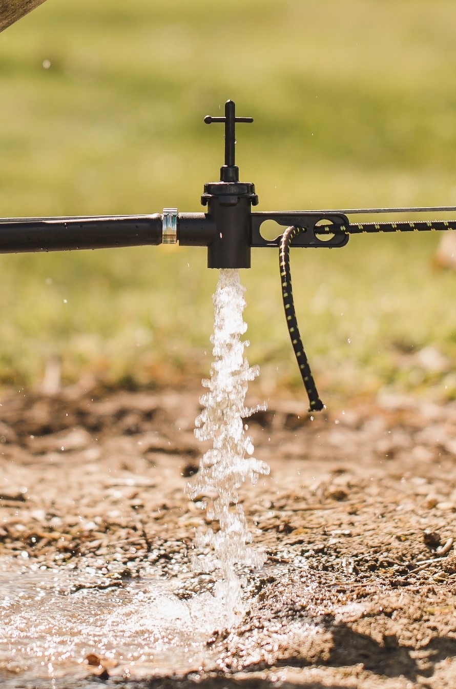 Flushed with success - Cordall